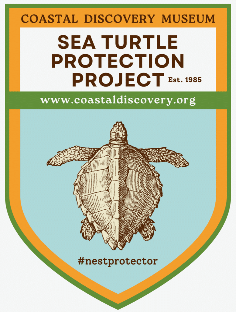 Sea turtle protection project logo | Coastal Discovery Museum